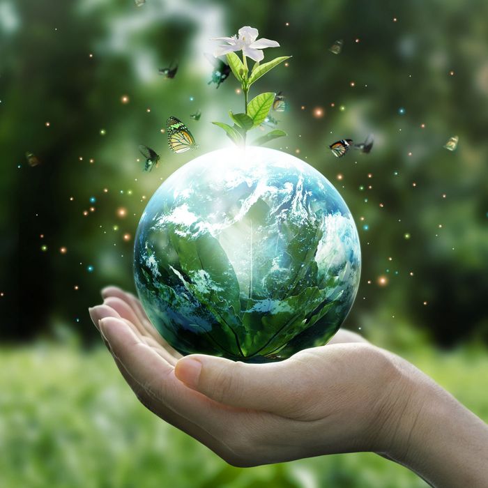 Press Release: LAUNCH OF COVATION BIOMATERIALS: DELIVERING INNOVATIVE ...