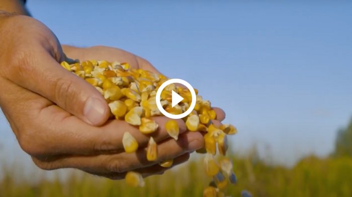 Press Release: Primient Covation LLC, Operating Its PDO Business Under ...